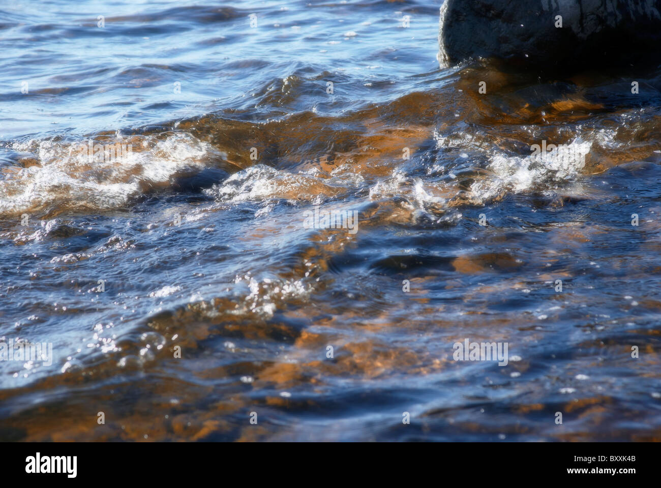 Marine bottom hi-res stock photography and images - Alamy
