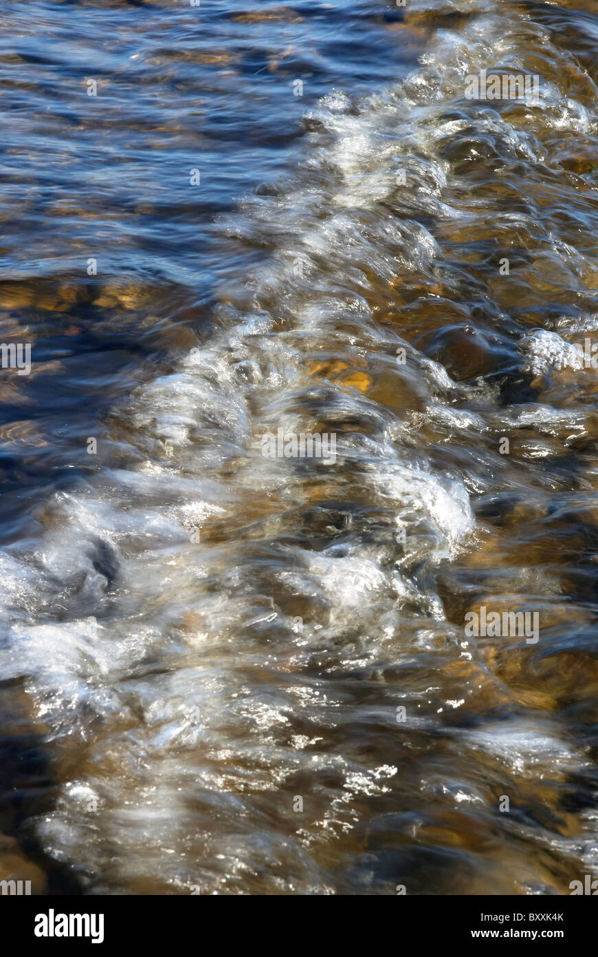 Marine bottom hi-res stock photography and images - Alamy