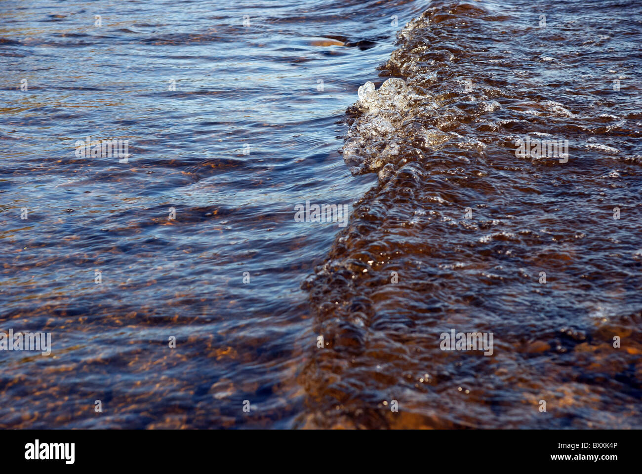 Marine bottom hi-res stock photography and images - Alamy