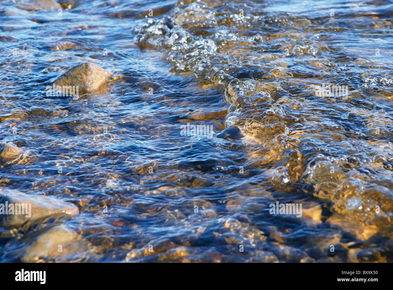 Marine bottom hi-res stock photography and images - Alamy