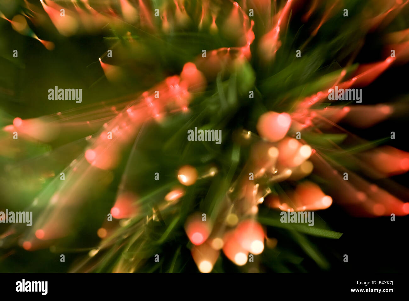 Close-up of red sparkling lights on ends of fir tree branch Stock Photo ...