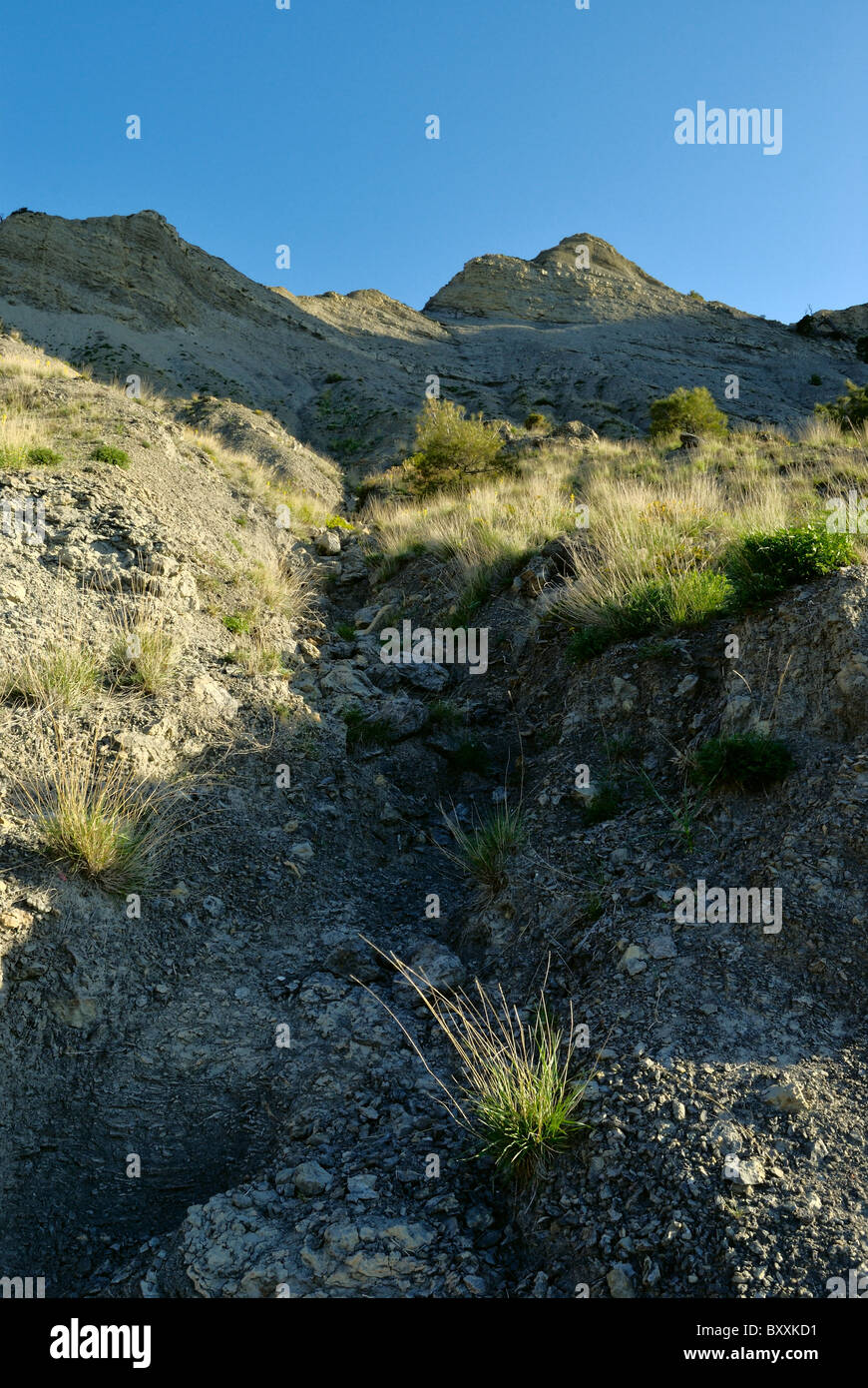 Country everywhere hi-res stock photography and images - Alamy