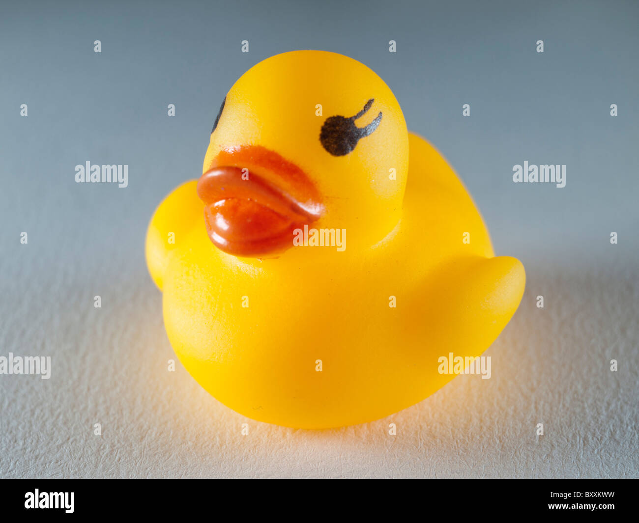 Rubber toy hi-res stock photography and images - Alamy