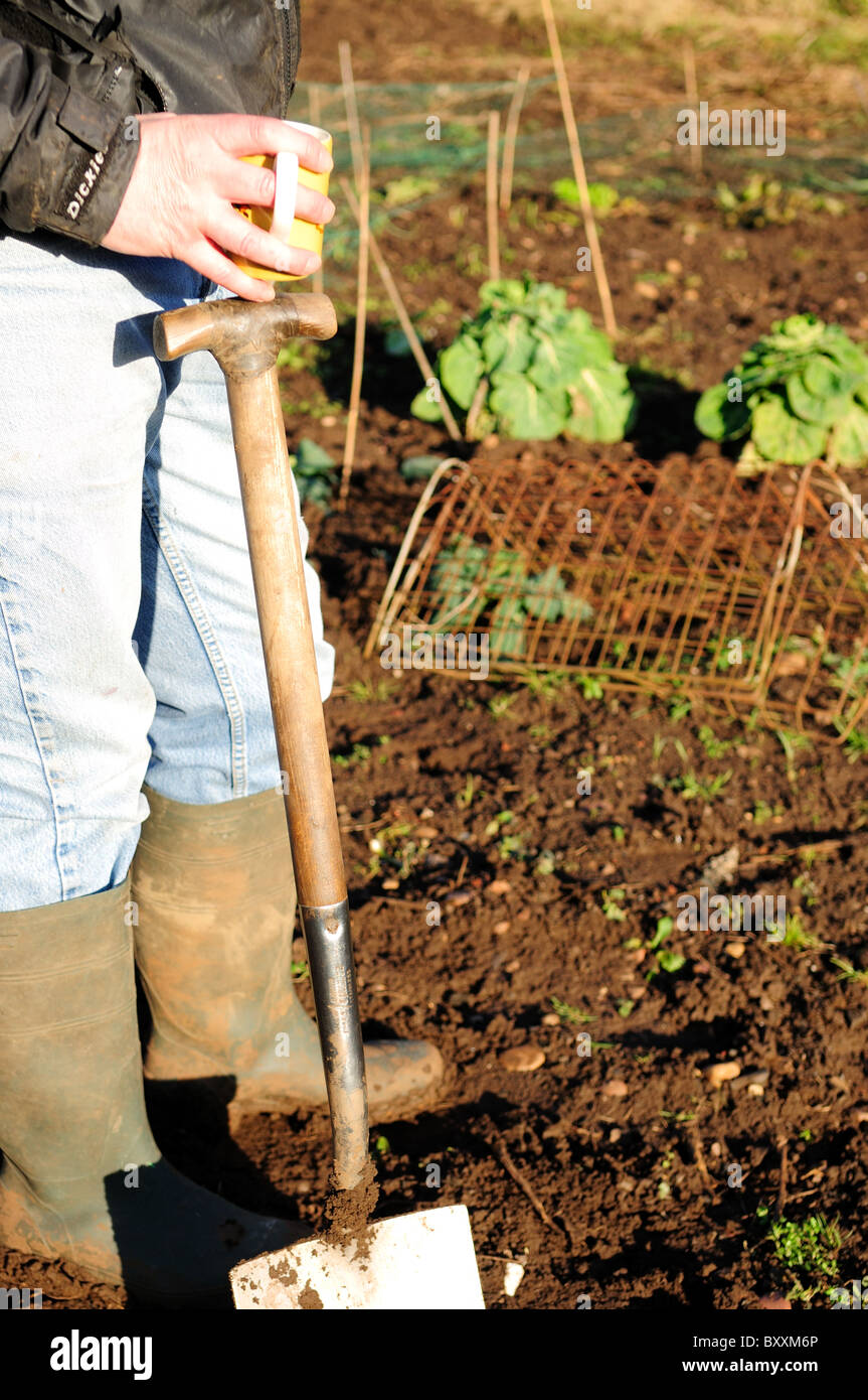 Man Digging Allotment Stock Photo - Alamy