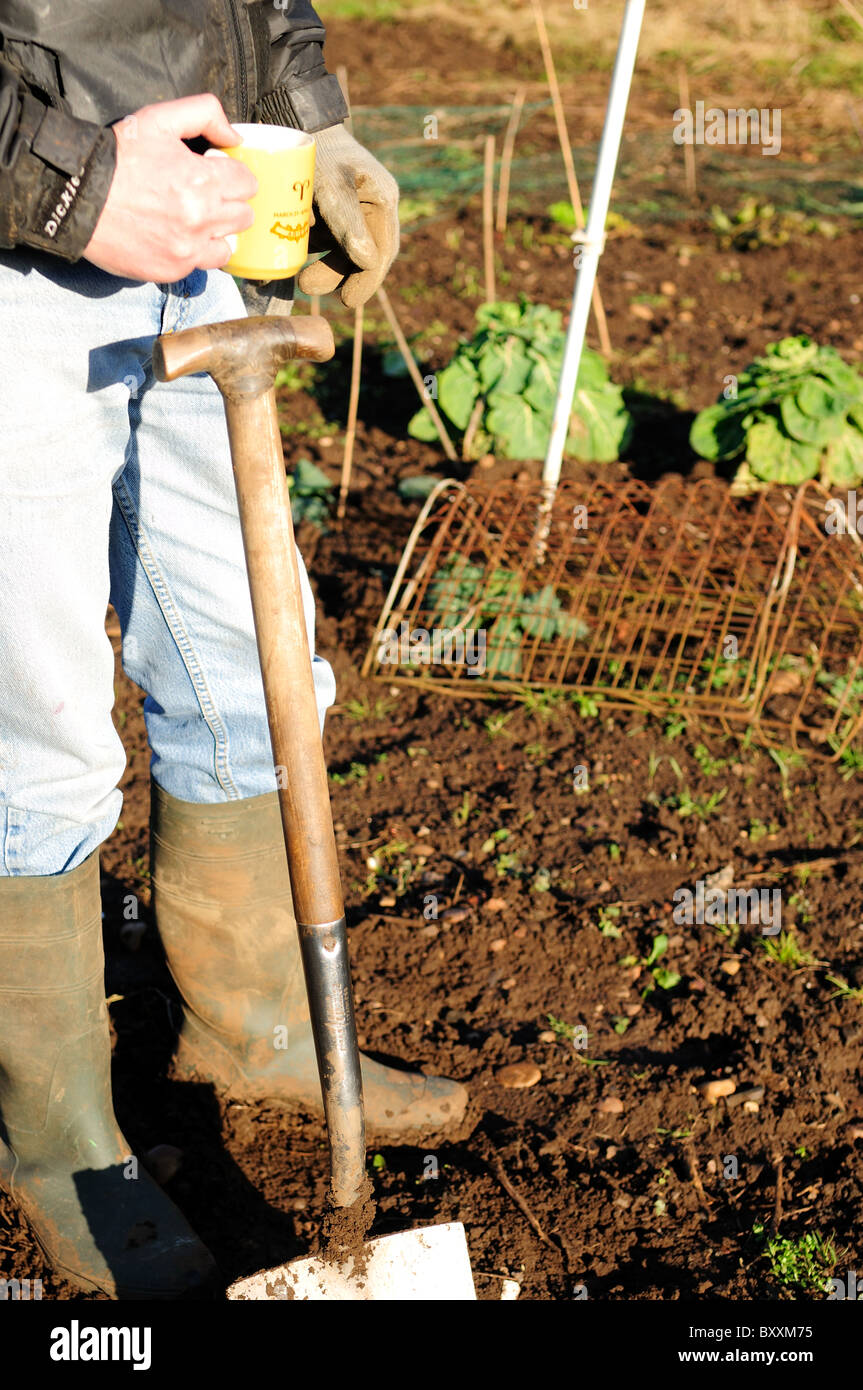 Man Digging Allotment Stock Photo - Alamy