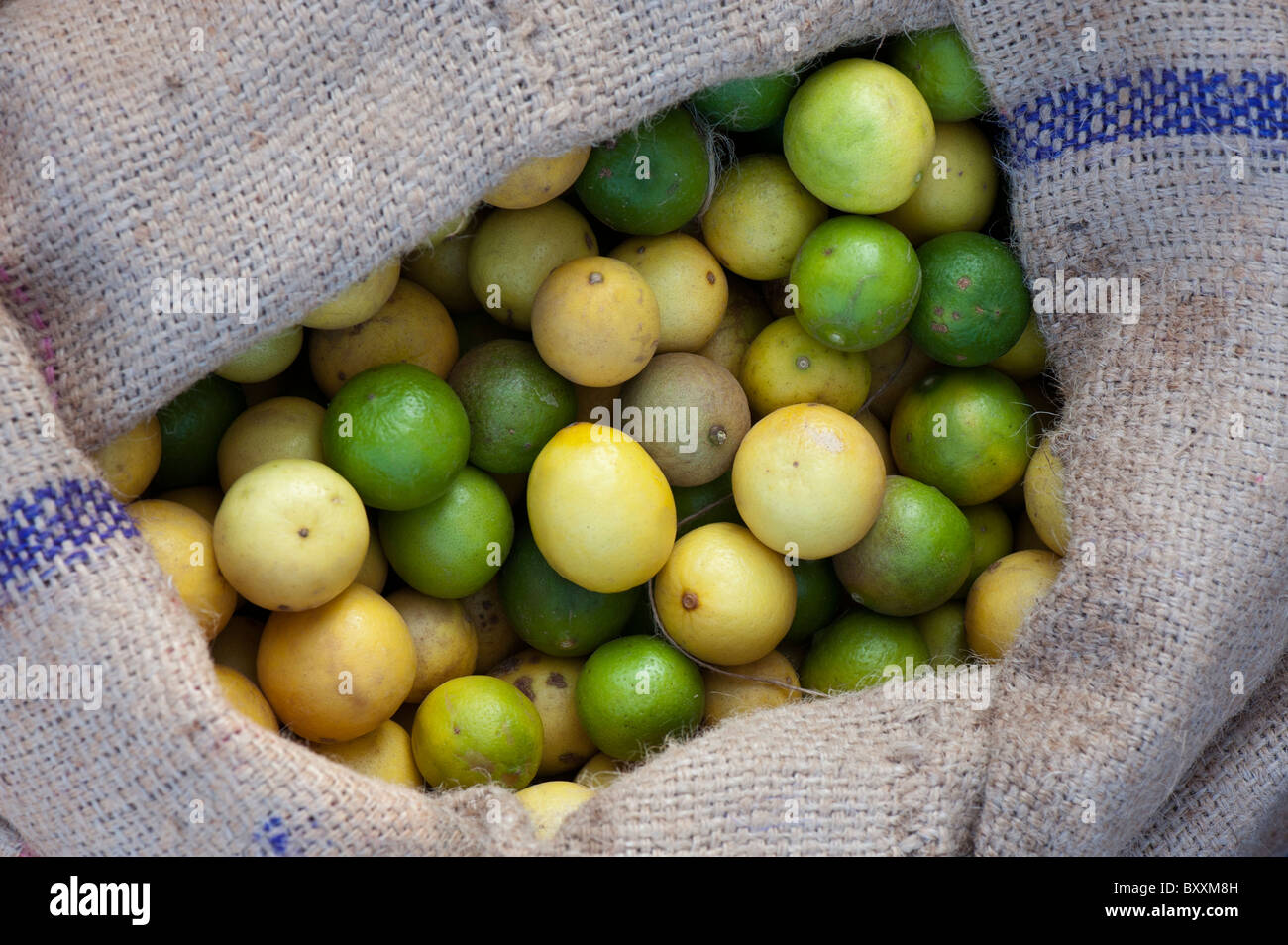 Indian lemons hi-res stock photography and images - Alamy