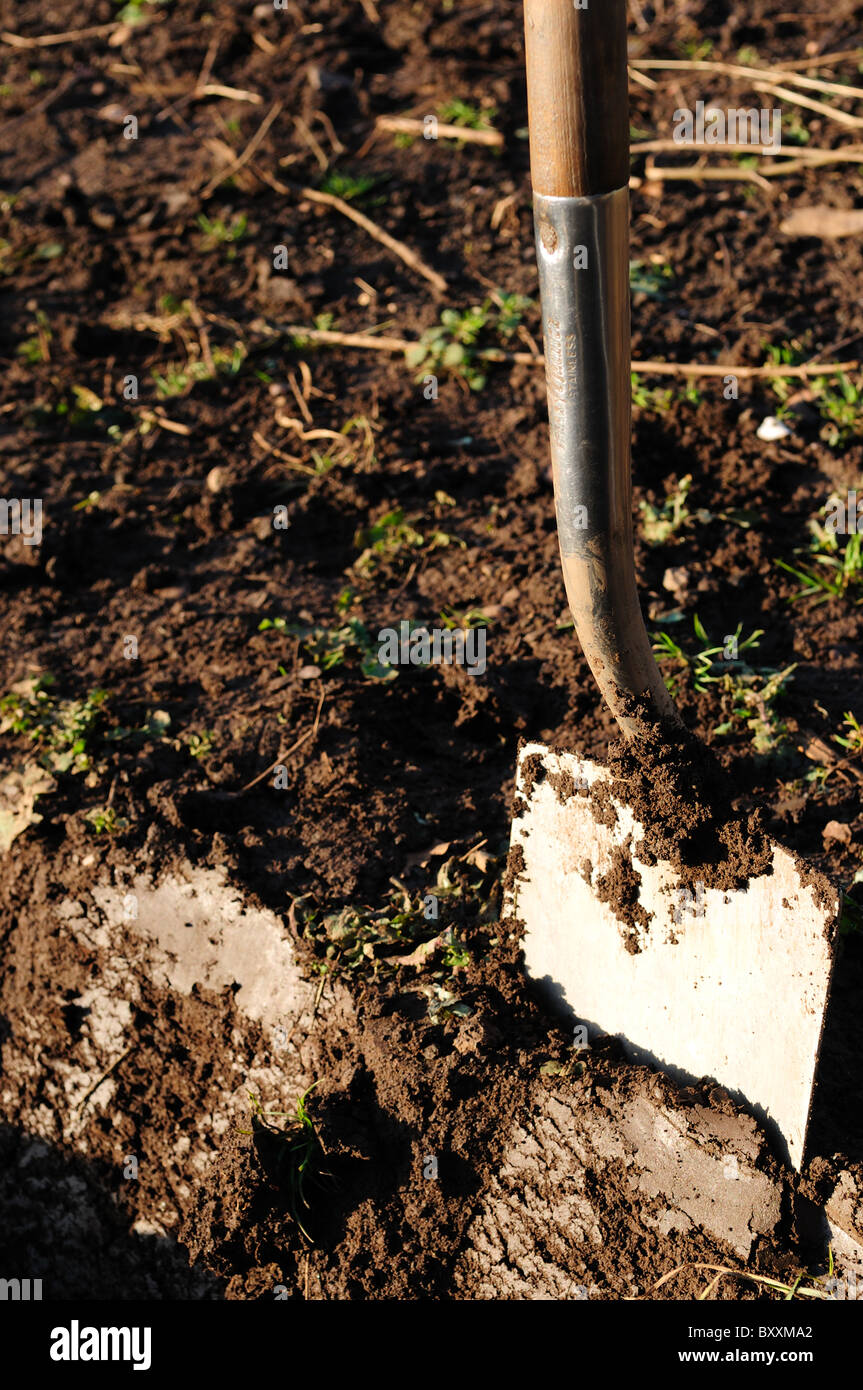 Gardening Spade Stock Photo - Alamy