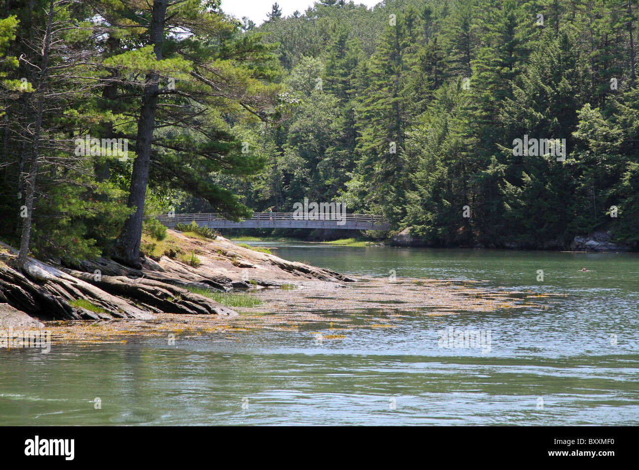 wooden foot bridge Stock Photo - Alamy