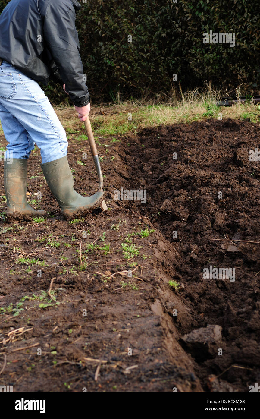 Man Digging Allotment Stock Photo - Alamy