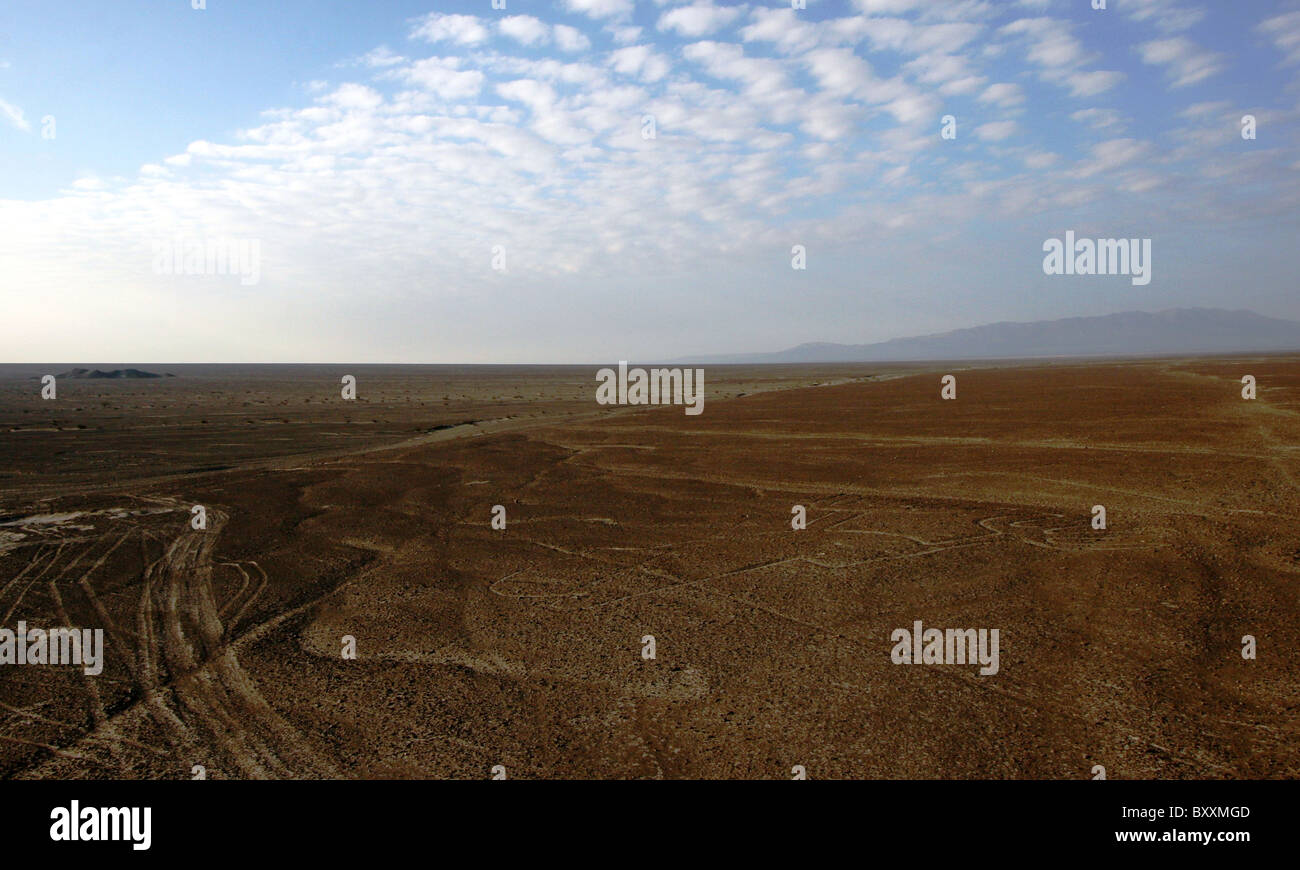 Nazca Lines, Nazca Desert, Southern Peru,South America Stock Photo - Alamy