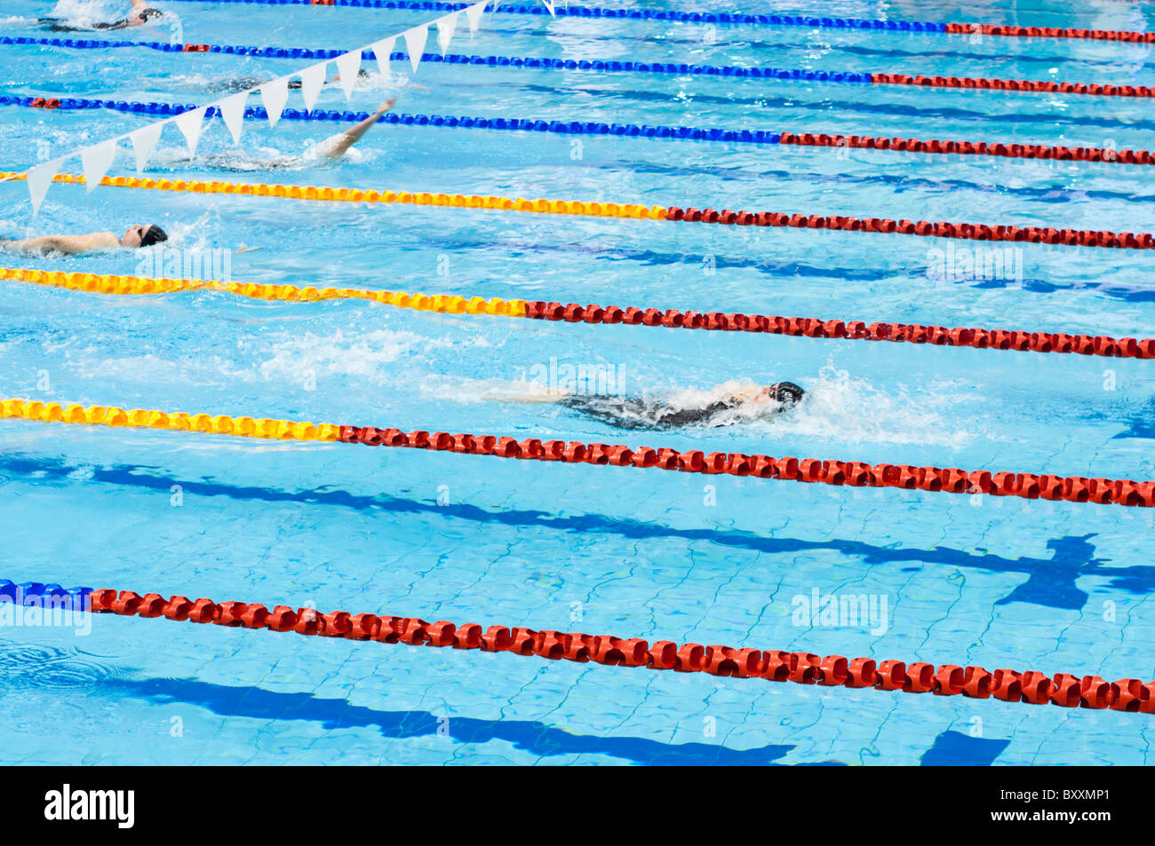 swimmer swimming in a pool Stock Photo - Alamy