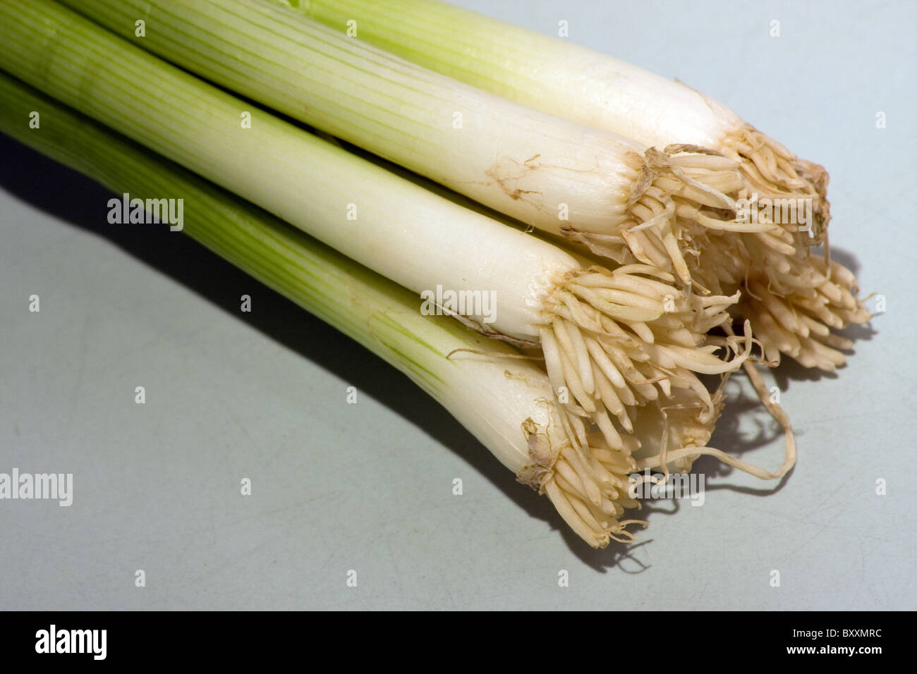 Spring onions with roots hi-res stock photography and images - Alamy