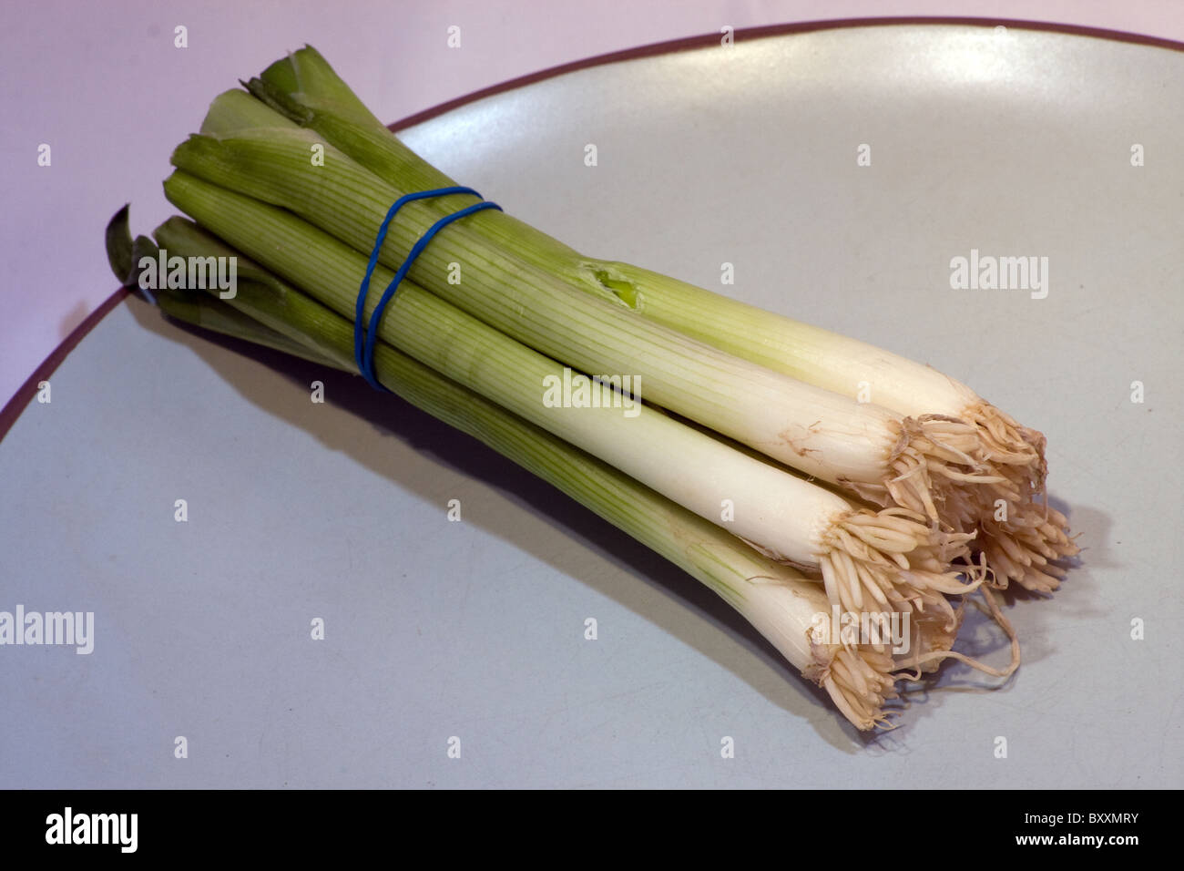 Bunch of spring onions hi-res stock photography and images - Alamy