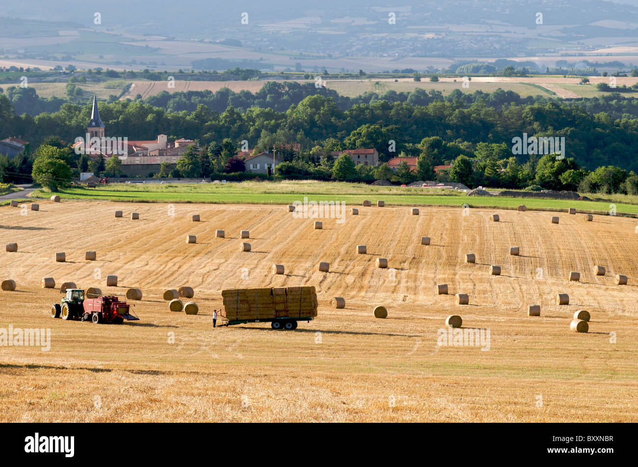 With haymaking scene hi-res stock photography and images - Alamy