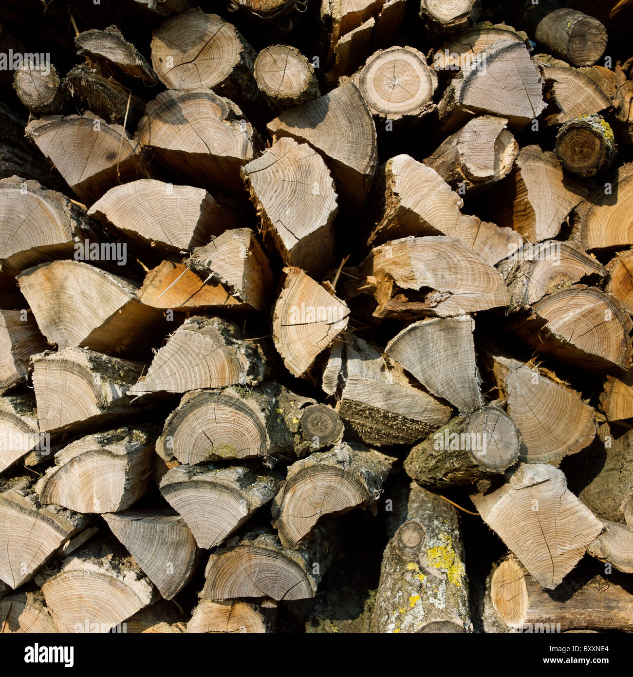 Stack of wood logs Stock Photo - Alamy