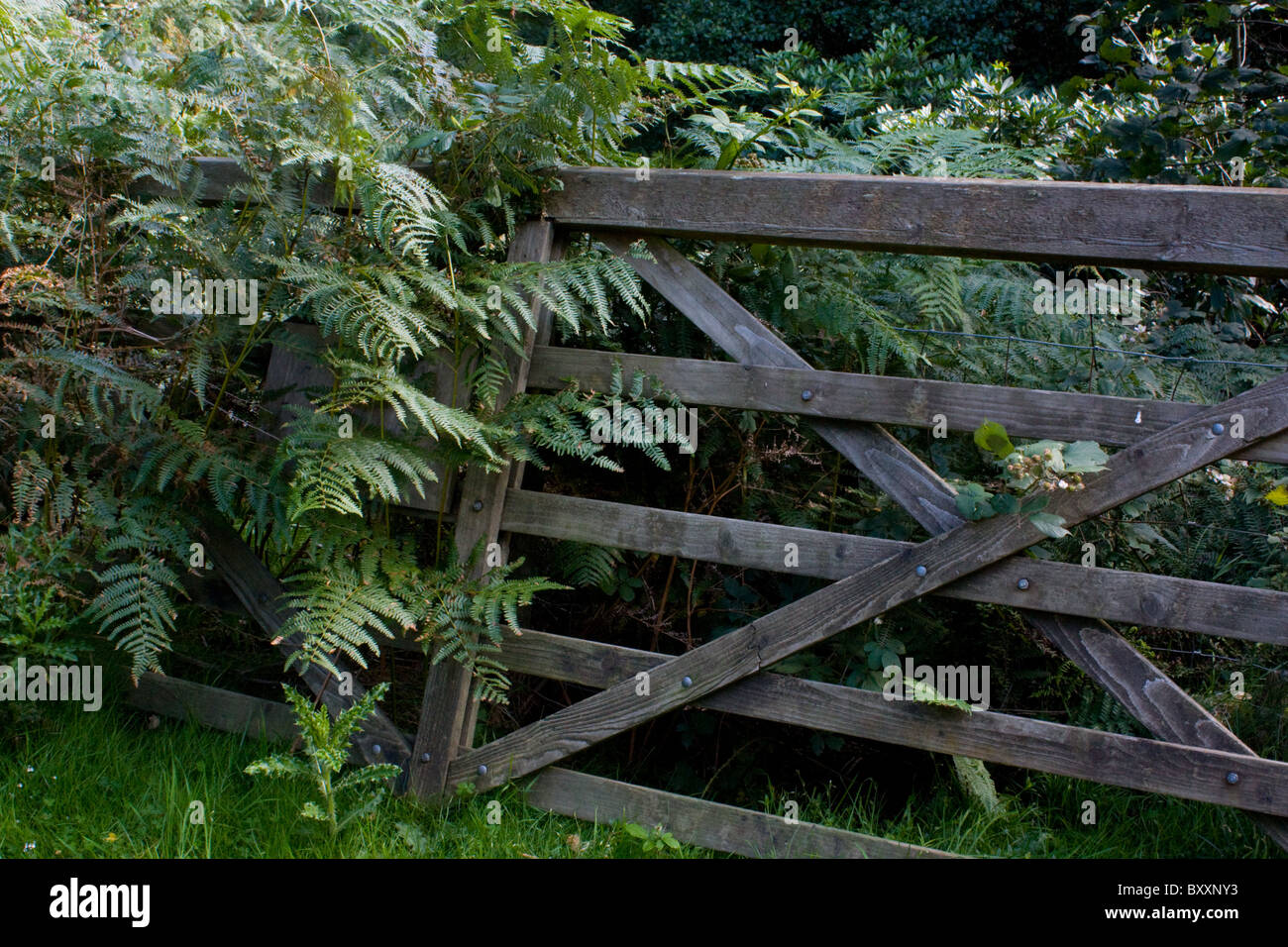 Gate derwent water hi-res stock photography and images - Alamy