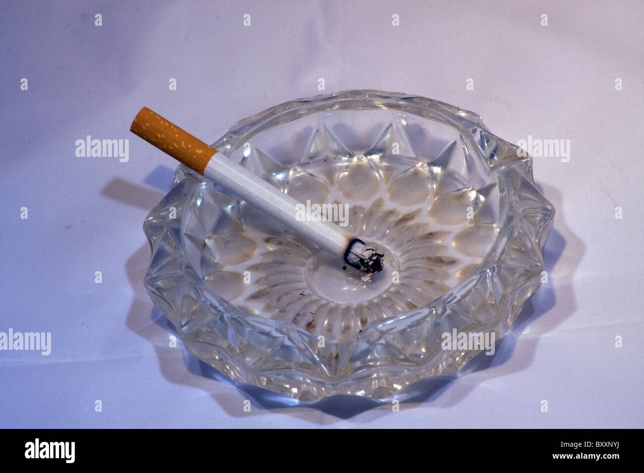 Poison ash hi-res stock photography and images - Alamy