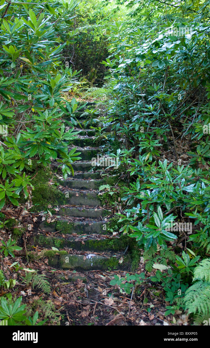 Countryside steps hi-res stock photography and images - Alamy