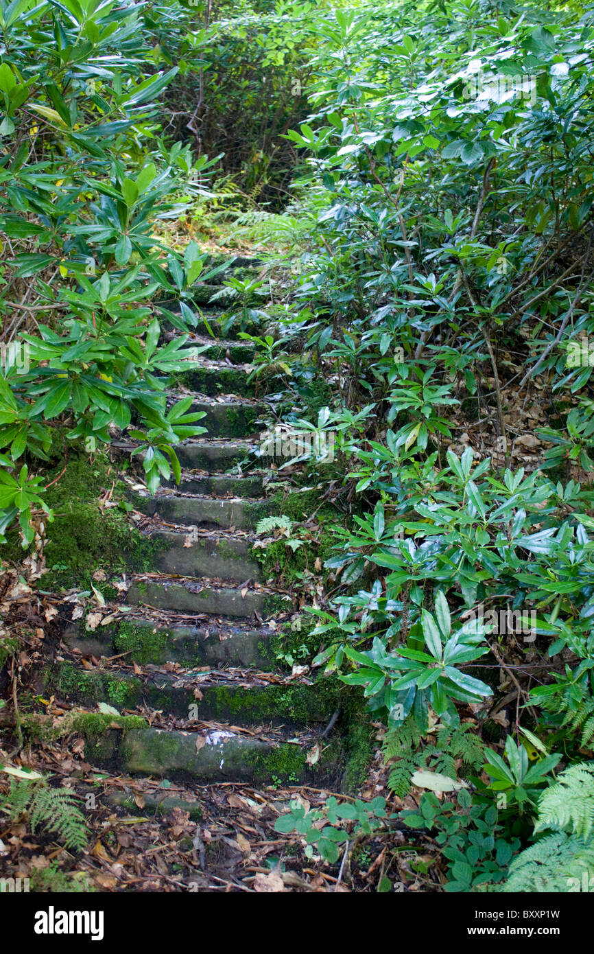 Countryside steps hi-res stock photography and images - Alamy