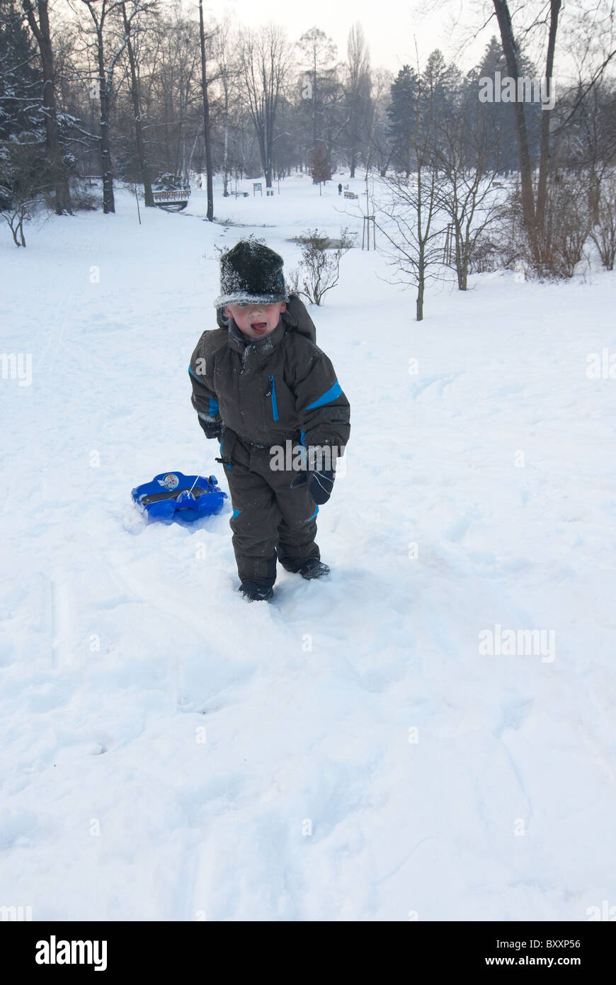 Children sledding on sled winter Stock Photo - Alamy