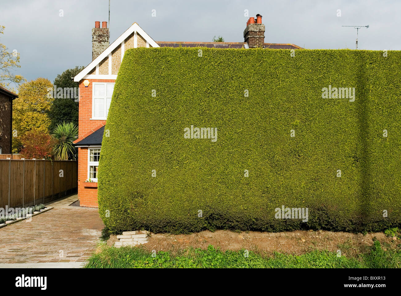 Tall Hedge Stock Photos & Tall Hedge Stock Images - Alamy
