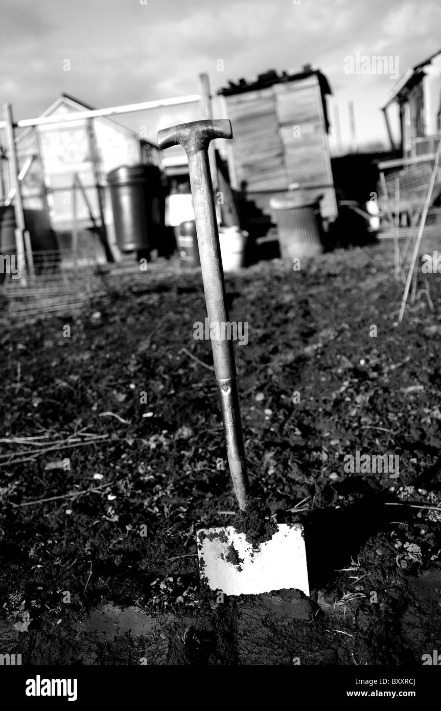 Gardening Allotment Stock Photo - Alamy