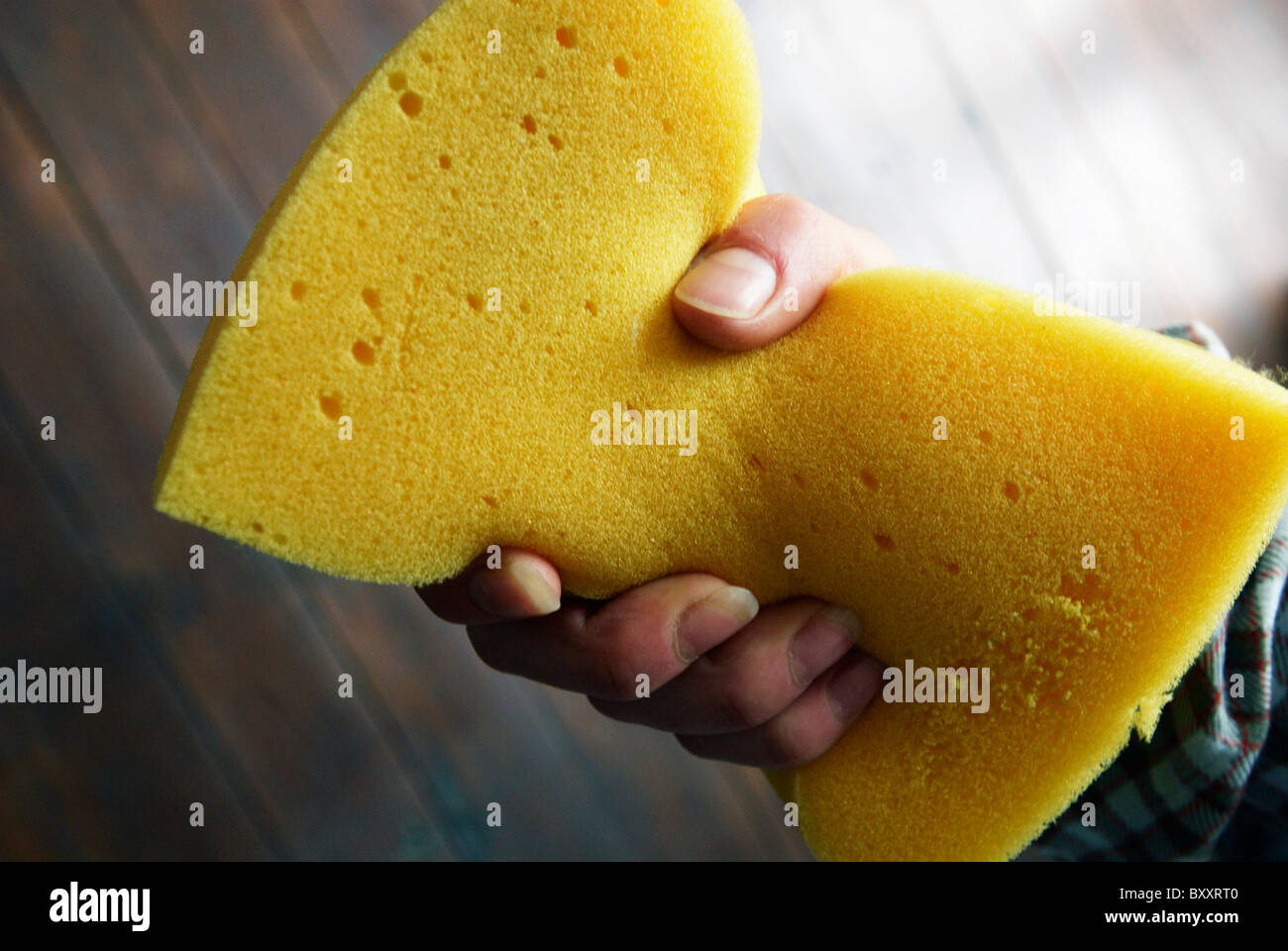 Woman holding sponge Stock Photo - Alamy