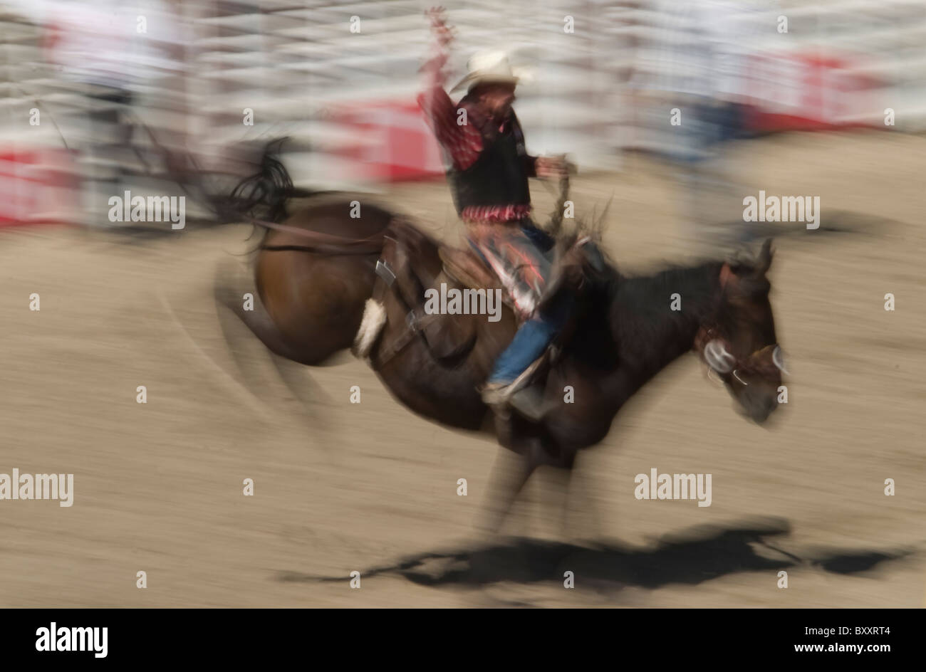 Motion blur image of cowboy at an Iowa rodeo Stock Photo - Alamy