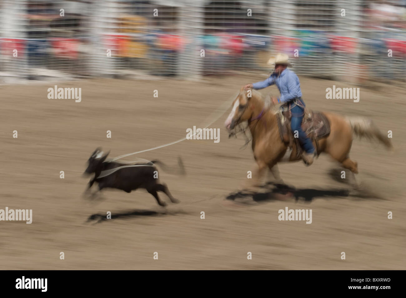 Motion blur image of cowboy at an Iowa rodeo Stock Photo - Alamy