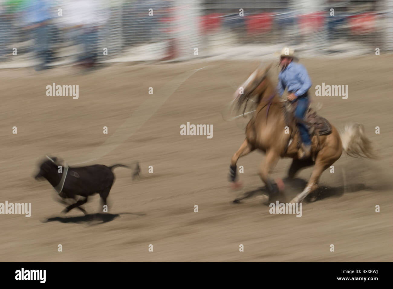 Motion blur image of cowboy at an Iowa rodeo Stock Photo - Alamy