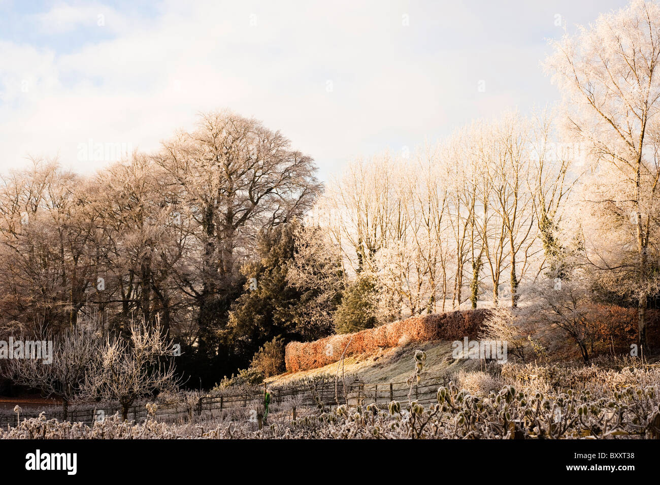 Painswick Rococo Garden in the winter after a heavy frost ...