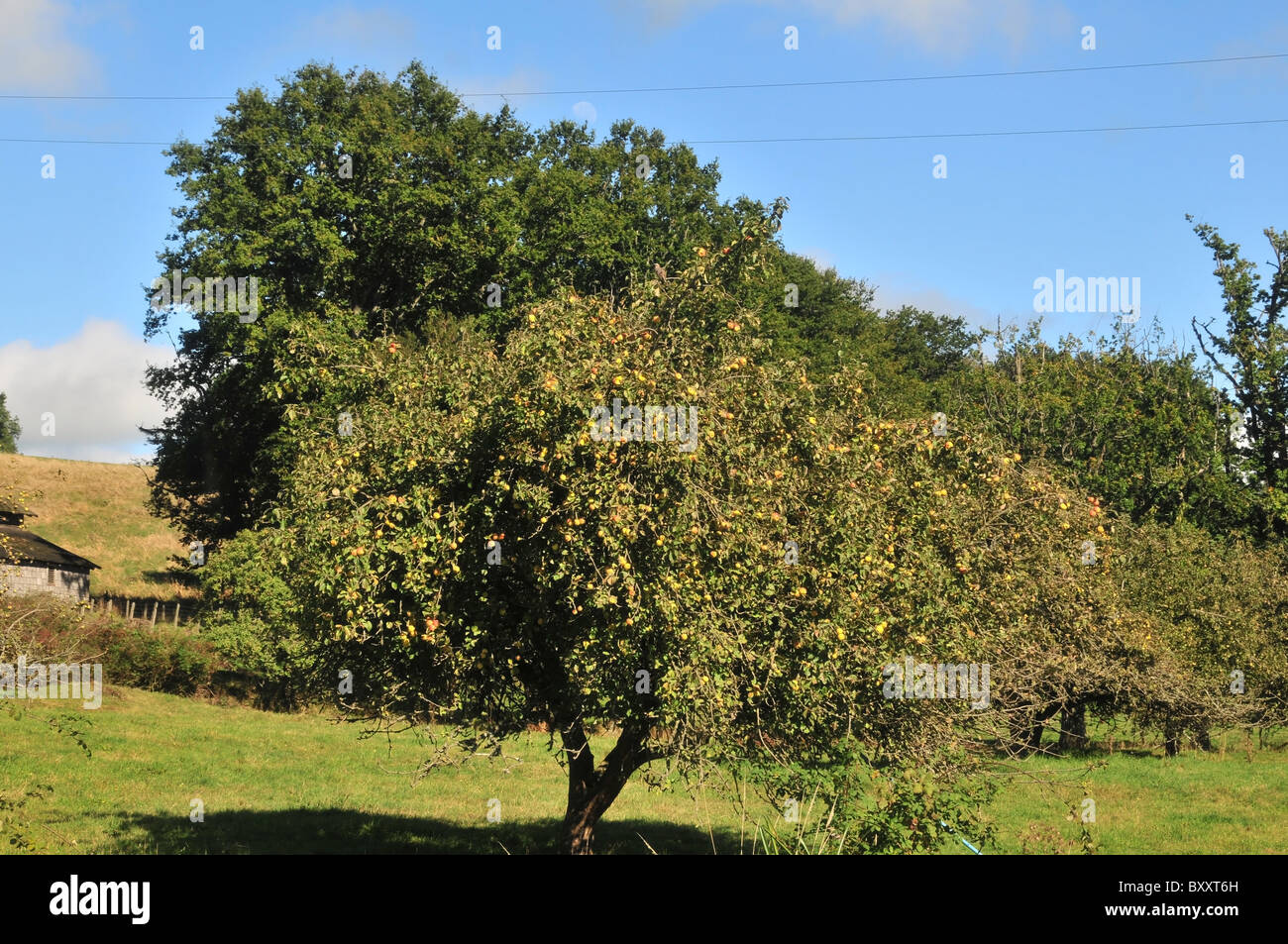 Rising standing roadside centre view hi-res stock photography and ...