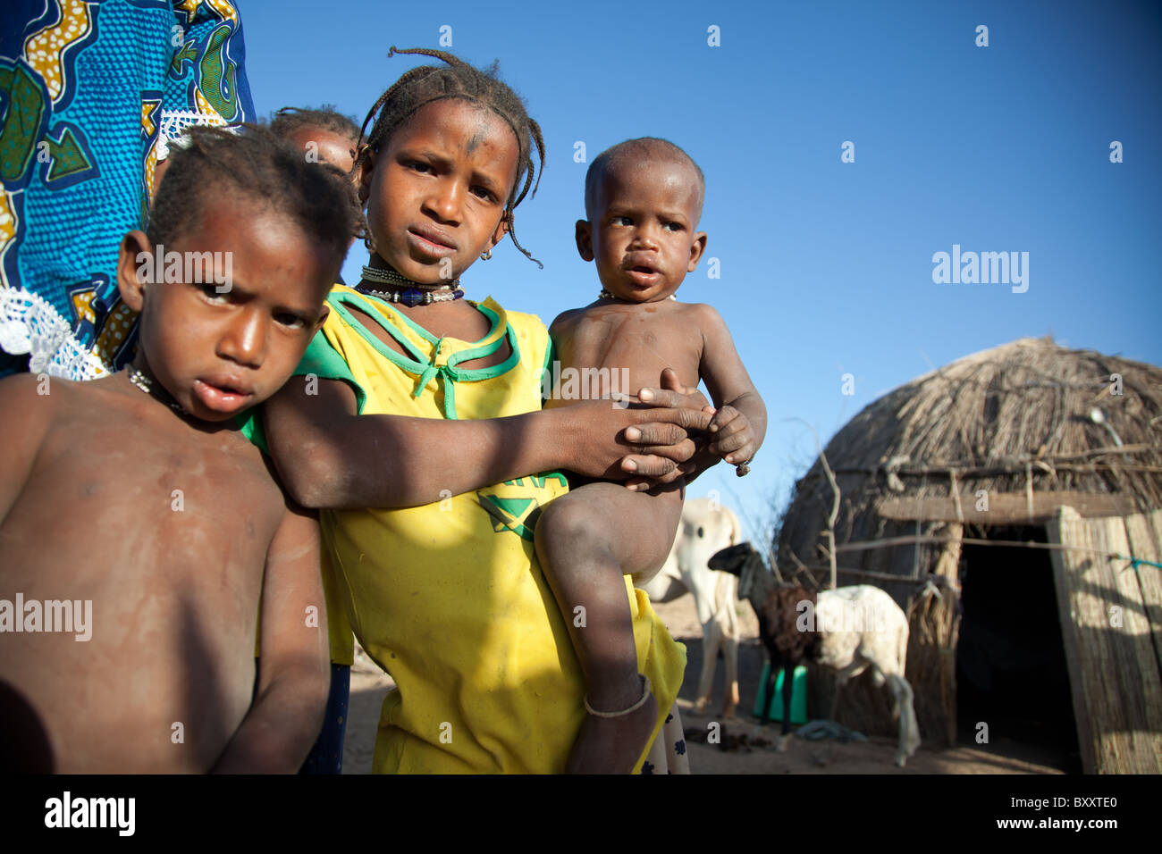 Fulani children in the seasonal village of Bantagiri in northern ...