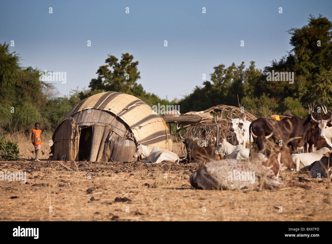 In the seasonal village of Bantagiri in northern Burkina Faso, a Fulani ...