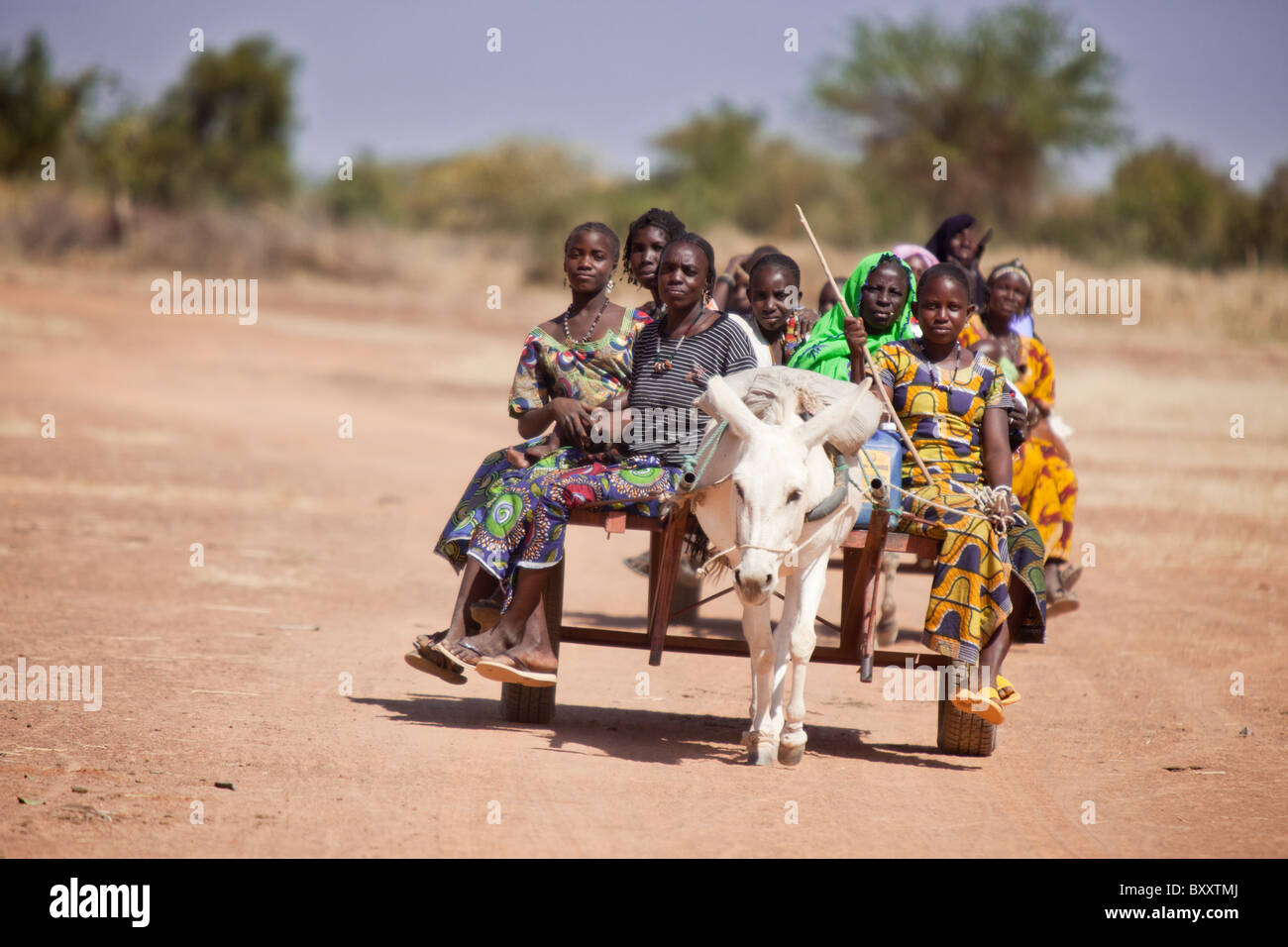 A group of Tuareg women ride a donkey cart to the Bourro market in ...