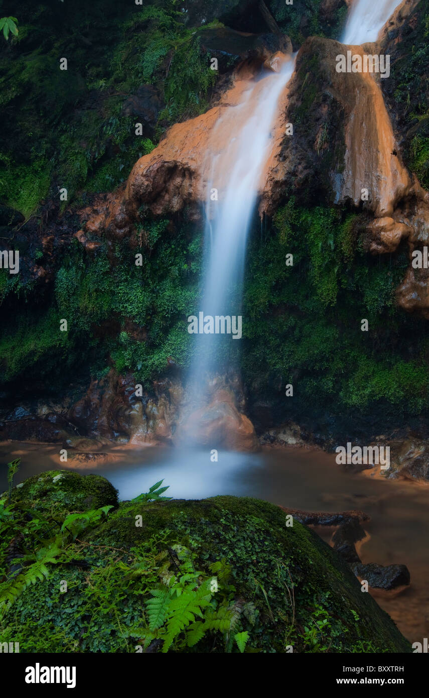 Cascade and stream from Azores Islands. It's hot volcanic water with a ...
