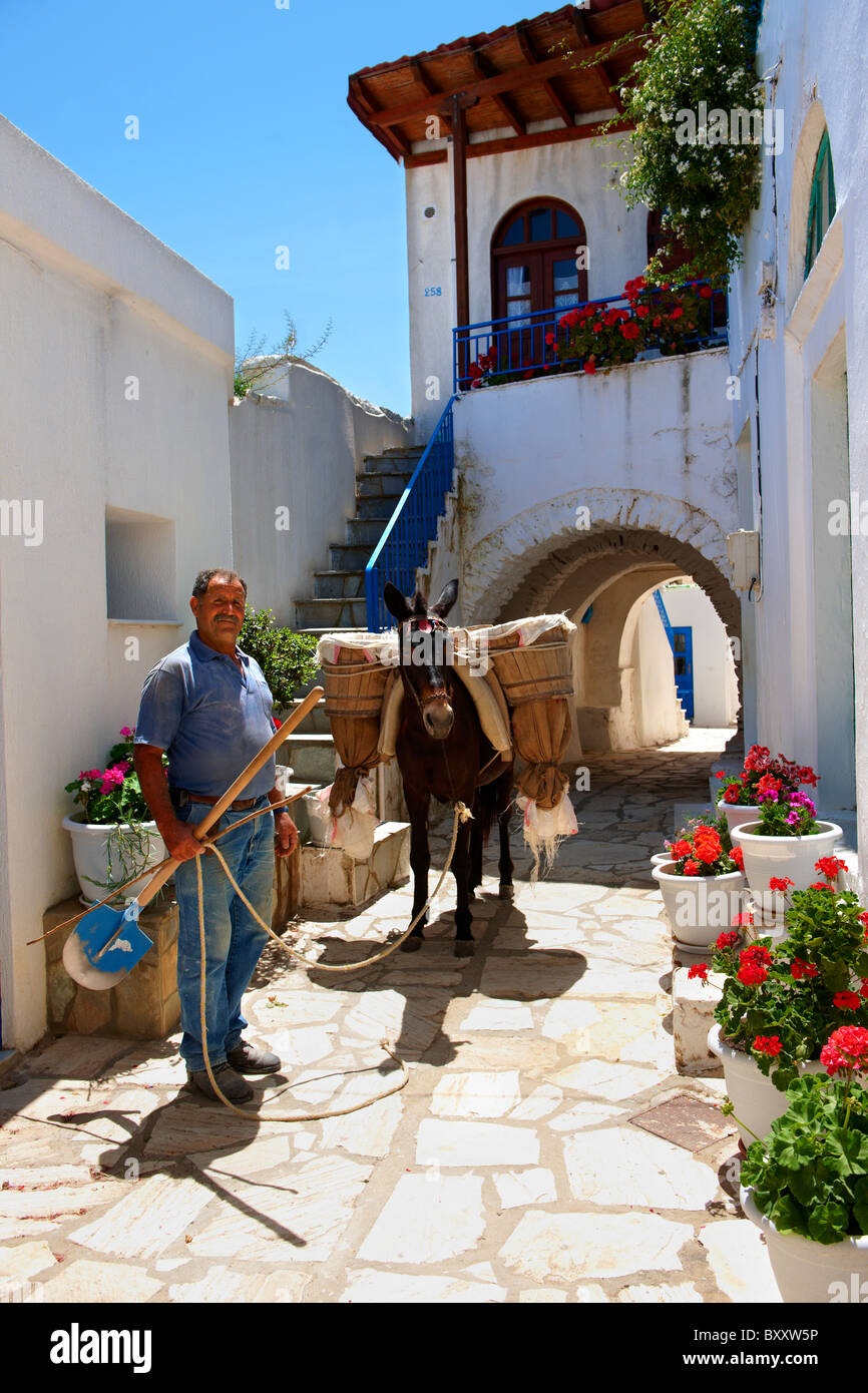 Farmer with donkey in the narrow streets of Komiaki Hill village Stock ...