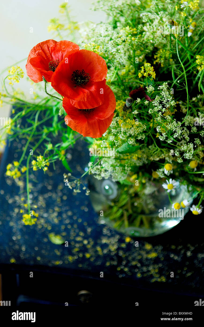 Flowers, red poppy, art, natural design, fresh boquet, home, lifestyle ...