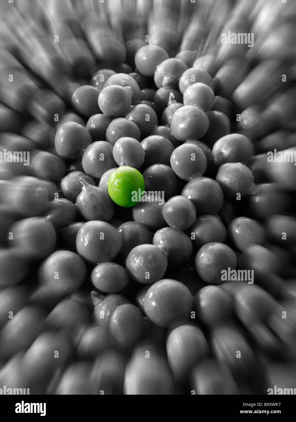 Single individual green pea Stock Photo - Alamy