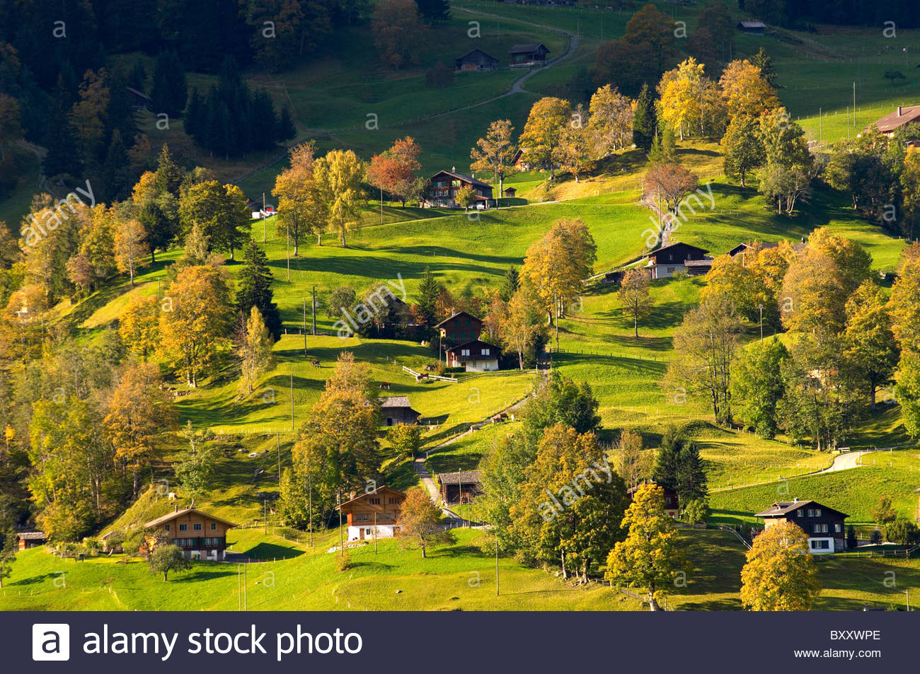 Autumn Trees Stock Photos & Autumn Trees Stock Images - Alamy