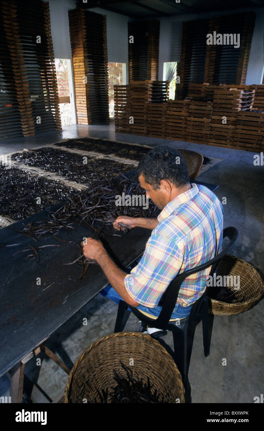Vanilla factory hi-res stock photography and images - Alamy