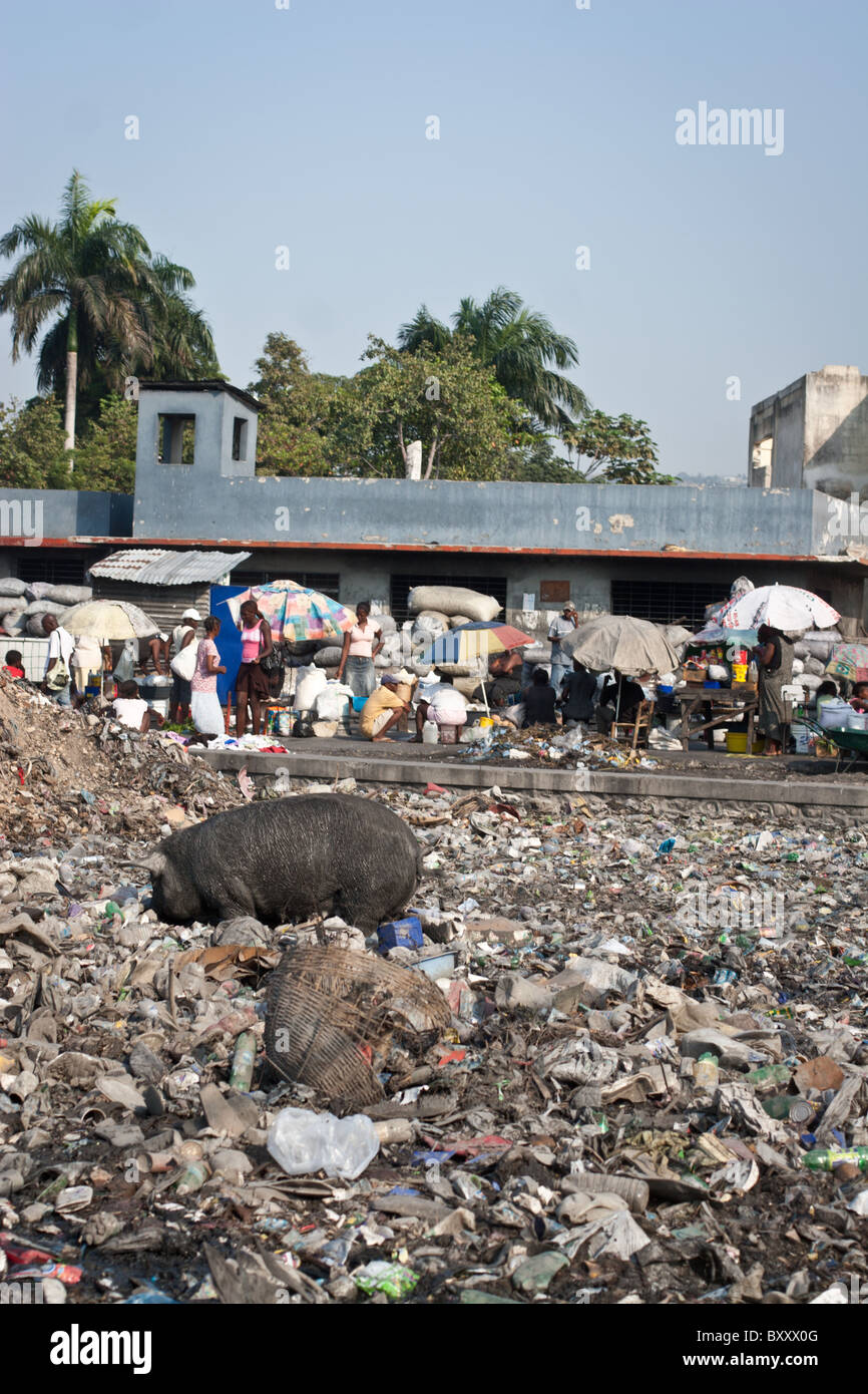 A pig allows in a pile of trash next to a street side marketplace in ...