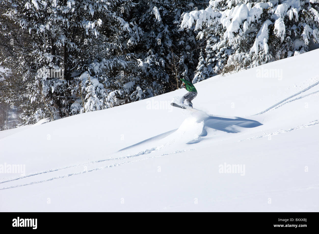 Teenager snowboarding and jumping down mountain trail between forest ...