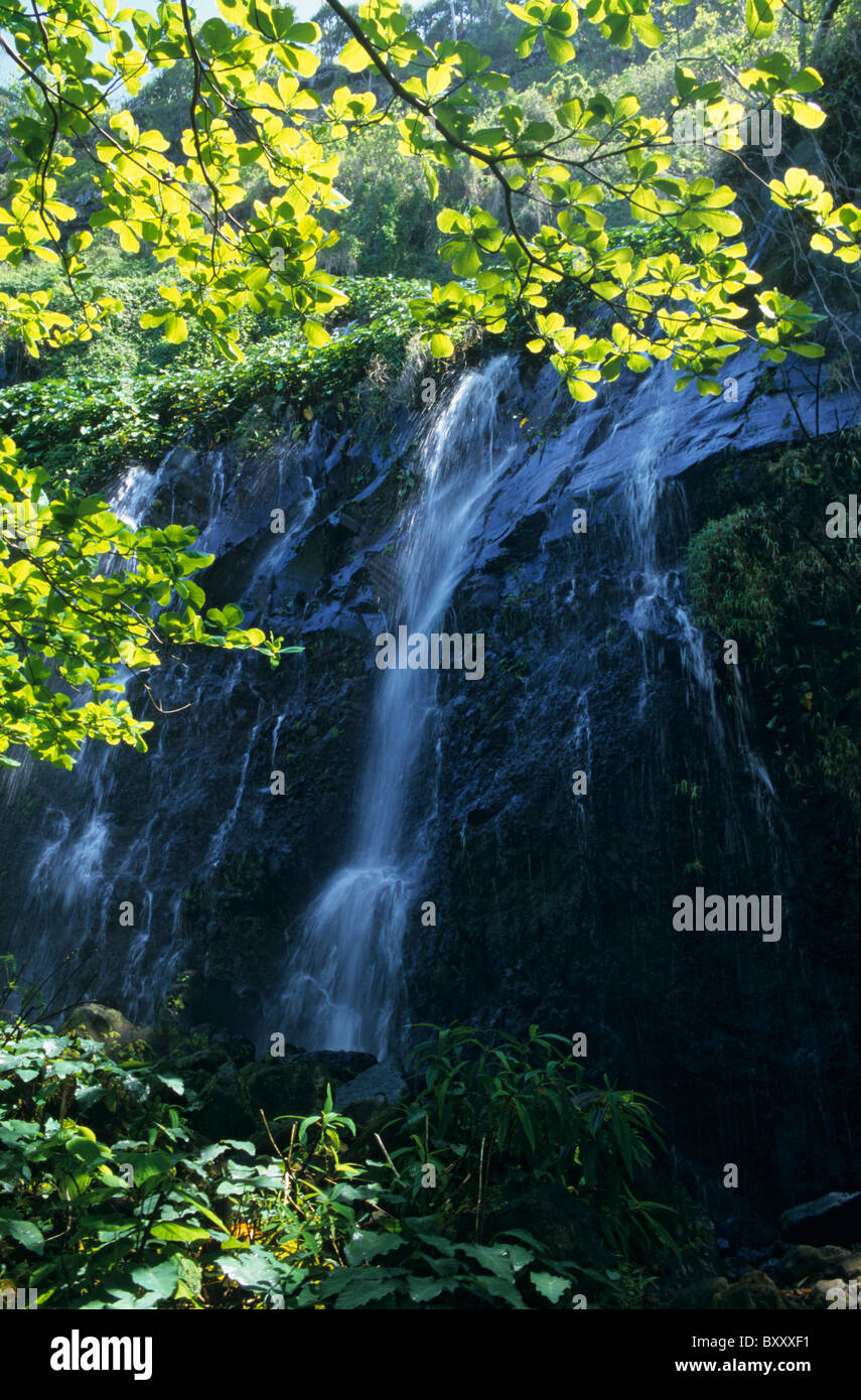 Waterfall, Anse des cascades (between Piton Sainte Rose and Bois Blanc ...