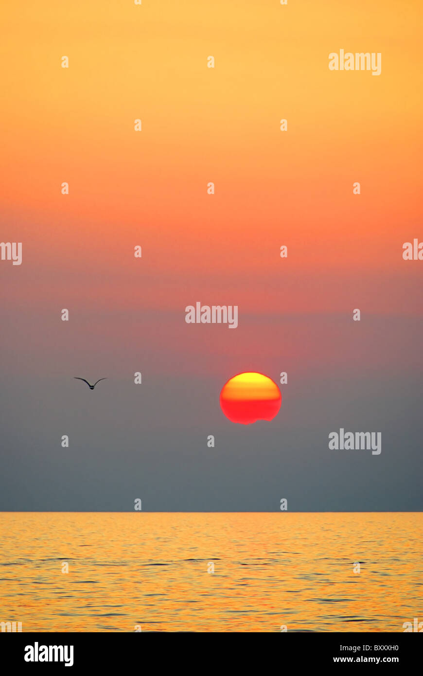 Sunset sky sun horizon ocean cloud coast hi-res stock photography and ...