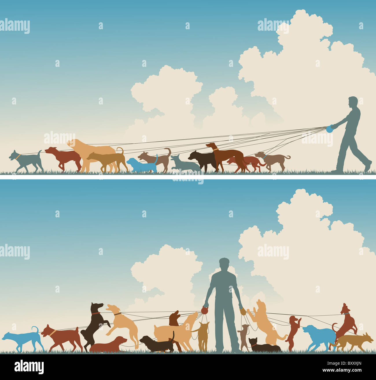 Two colorful foreground silhouettes of a man walking many dogs Stock ...