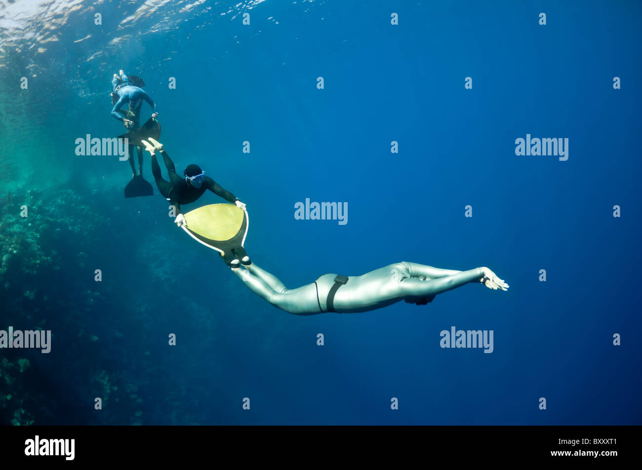The group of freedivers try to dive in a line, catching each other by ...