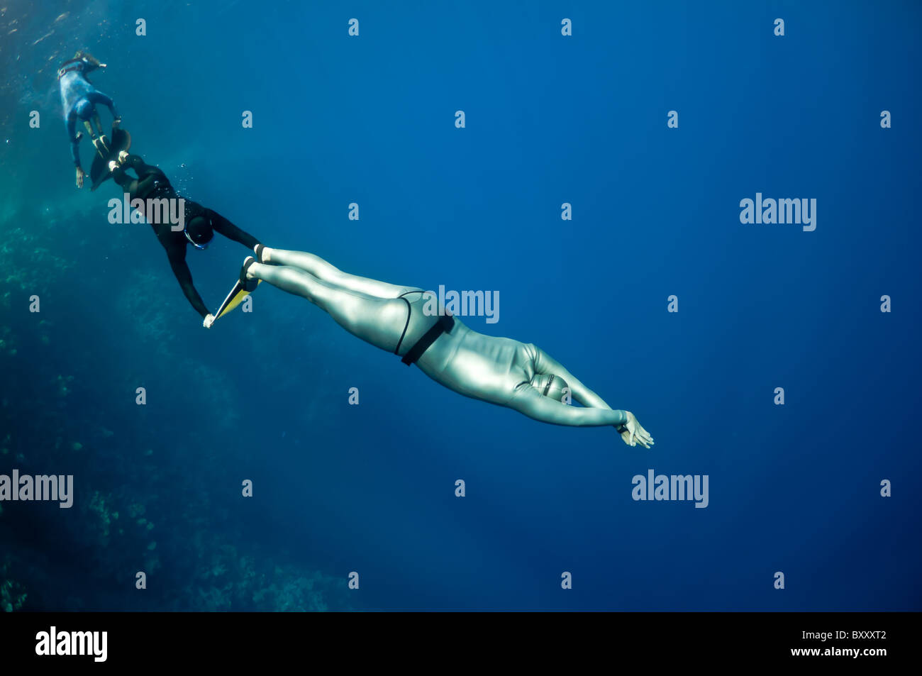 The group of freedivers try to dive in a line, catching each other by ...