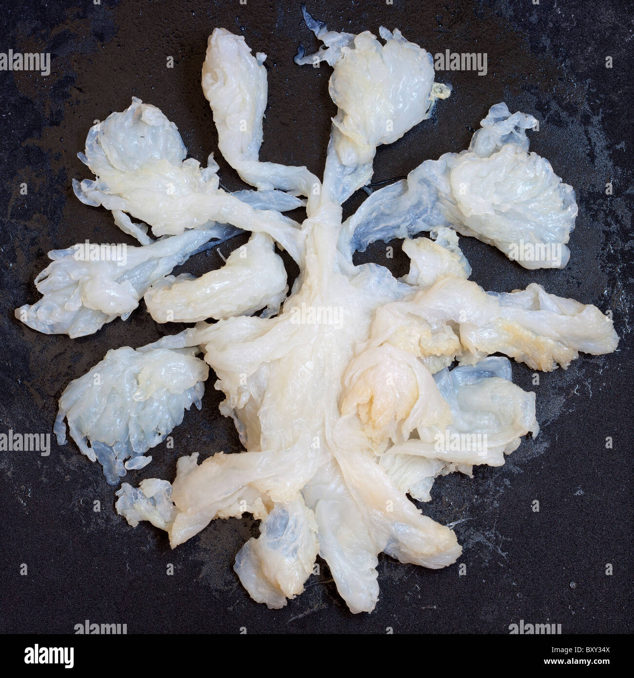 Cooked Jellyfish - An example of the strange or weird food eaten by ...