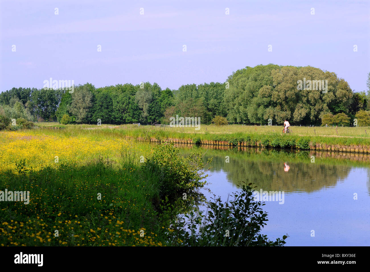 Belgium : banks of the Dender River Stock Photo - Alamy